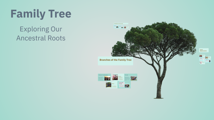 Family Tree by Angelina Chacko on Prezi