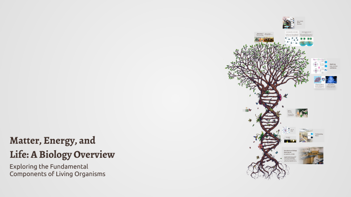 Matter, Energy, and Life: A Biology Overview by Neriah Nelson on Prezi