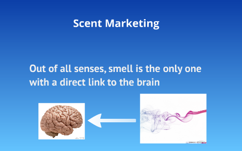 Scent marketing by Kinan Hamwi on Prezi