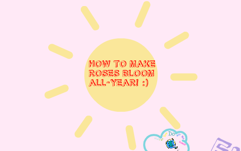 How to make Roses Bloom All year round. by Ber Ber on Prezi