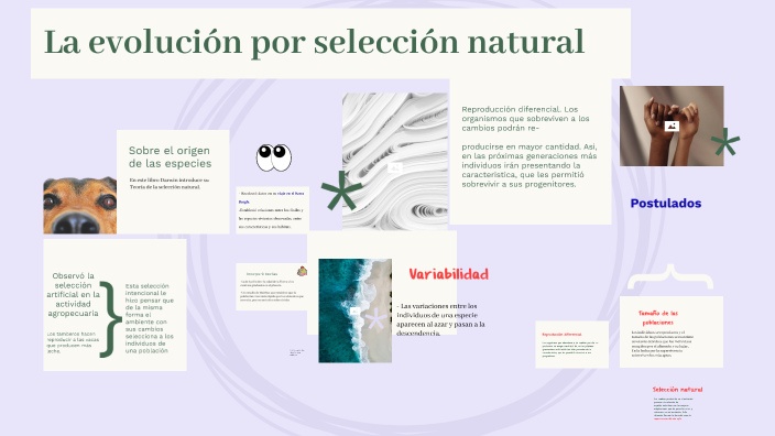 Teoría de Darwin by Laura enseña on Prezi