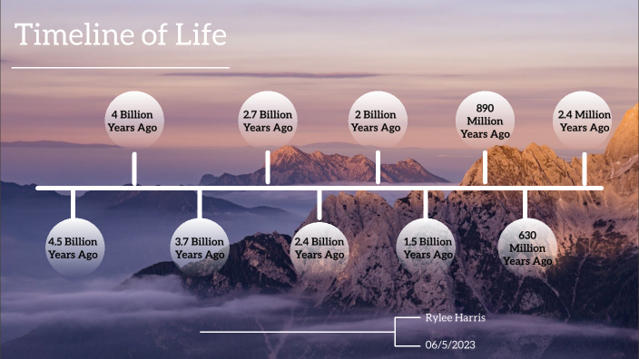Timeline of Life by Rylee Harris on Prezi