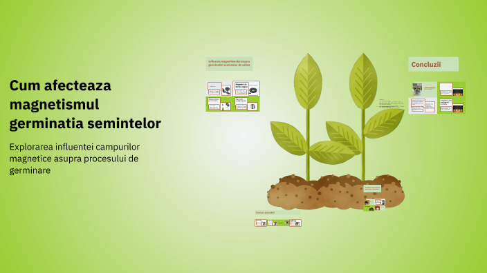 Cum afecteaza magnetismul germinatia semintelor by DUICU ADELINA on Prezi