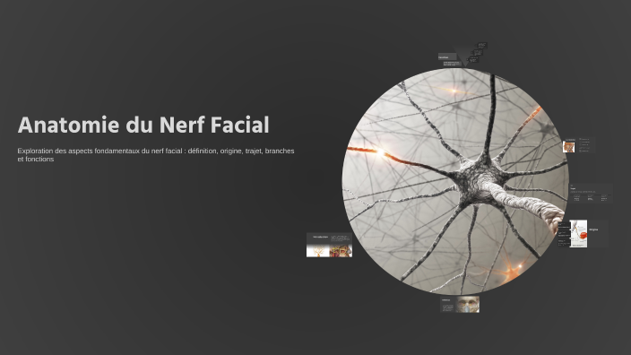 Anatomie du Nerf Facial by Sidahmed Benchrif on Prezi