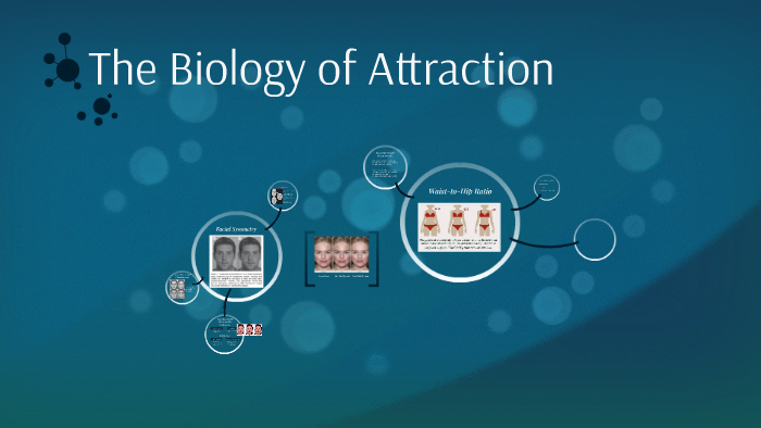 The Biology of Attraction by Josephine Yznaga on Prezi