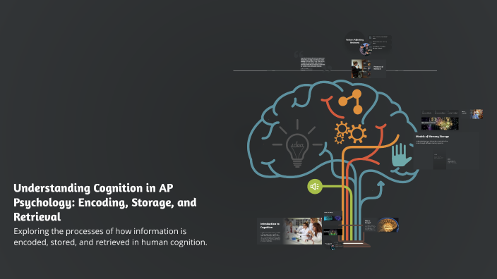 Understanding Cognition in AP Psychology: Encoding, Storage, and ...