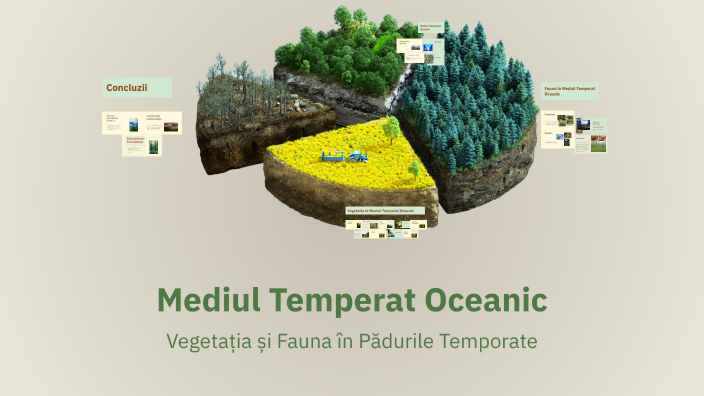 Mediul Temperat Oceanic by Otniel Tofan on Prezi