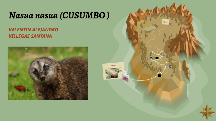 (CUSUMBO ) by valentin villegas santana on Prezi