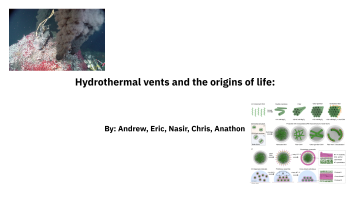 Chemistry Lesson: Hydrothermal vents and the origins of life by ANDREW ...