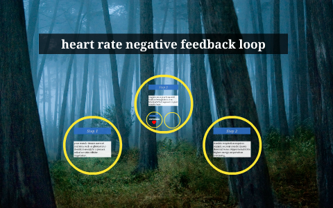 heart rate negative feedback loop by lea devore on Prezi