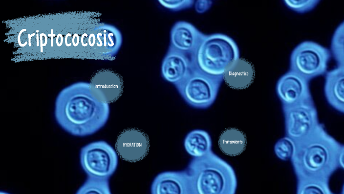 Criptococosis by Alejandro Martinez Romero on Prezi