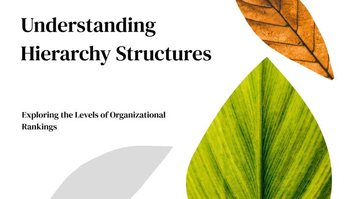 Understanding Hierarchy Structures by Riley Vaughan on Prezi