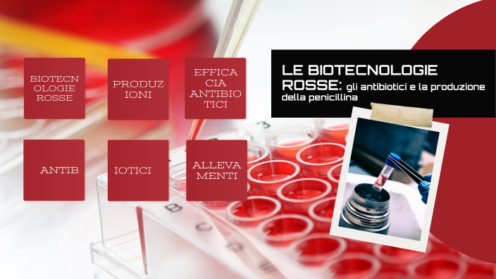 Biotecnologie rosse by Angelica Amoroso on Prezi