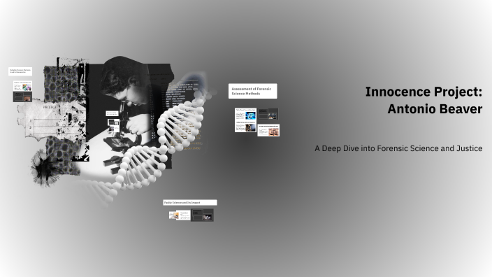 Innocence Project: Exonerating the Wrongfully Convicted by Isabel ...