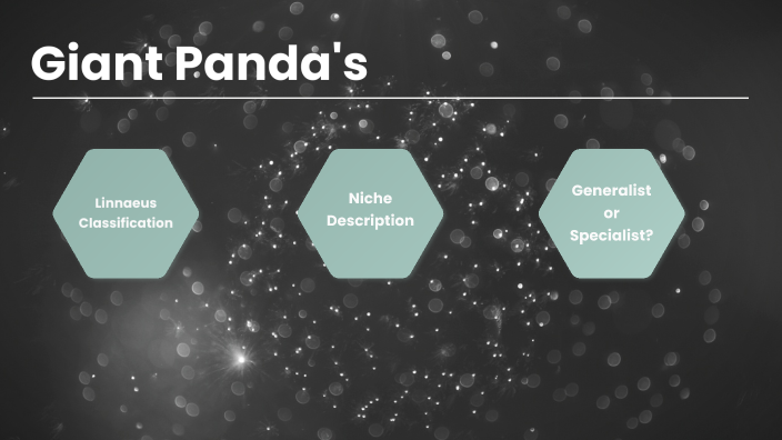 Giant Pandas Science Project Unit 1 by zakiya natha on Prezi