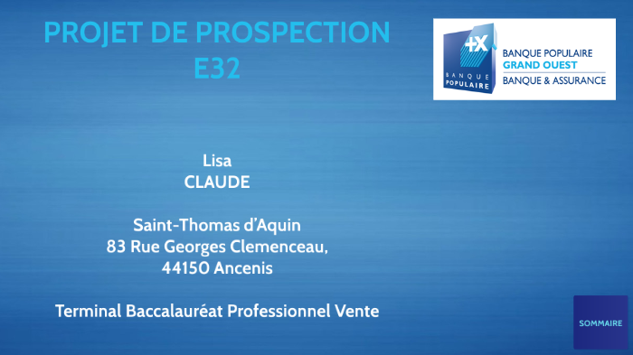 Projet de prospection E32 by Lisa CLD on Prezi