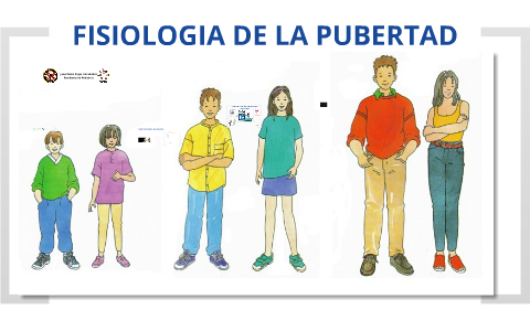 FISIOLOGIA DE LA PUBERTAD by Endocrinologia Pediatrica on Prezi