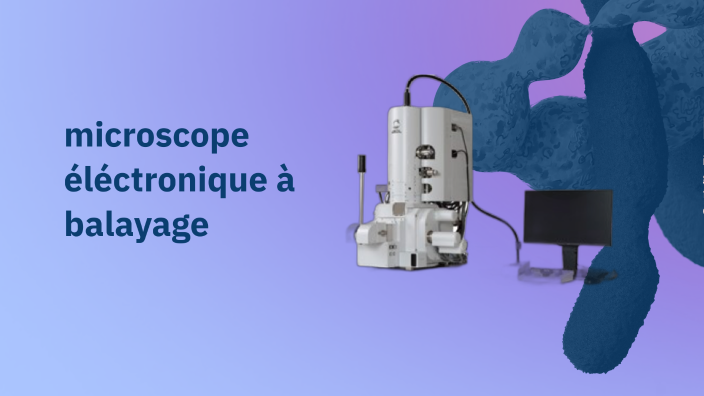 microscope electronique a balayage by cassie . on Prezi Next