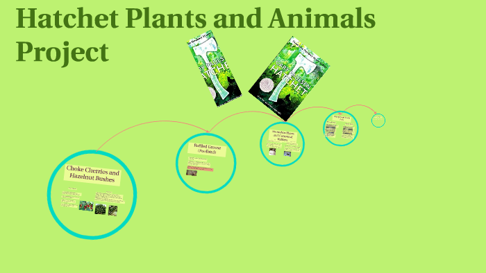 Hatchet Plants and Animals Project by Carl Pittman on Prezi