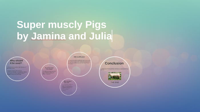 About the Super muscly pigs by lauren/brynn fisherland on Prezi