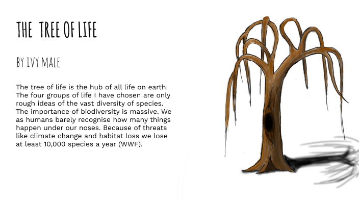 The tree of life by Ivy Male on Prezi