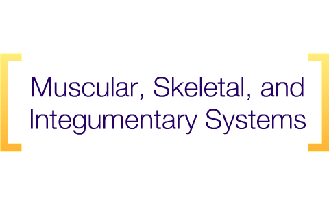 Muscular, Skeletal, and Integumentary Systems by Elaina Philpott on Prezi