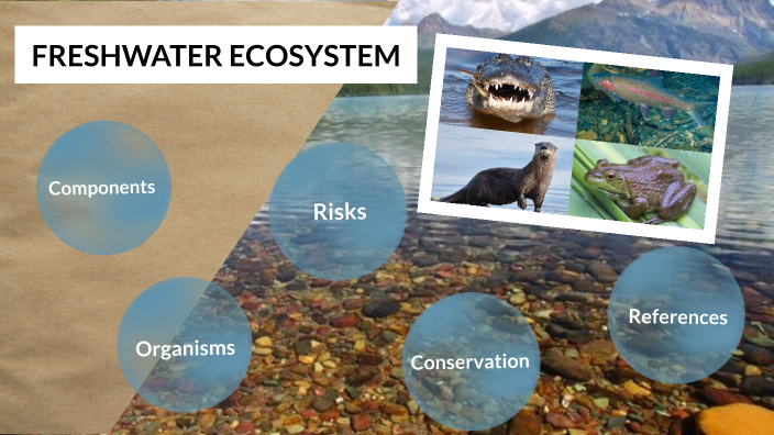 Freshwater Ecosystem by Joyce Estrada on Prezi