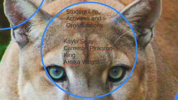 Lawson State Student Life by Kayla Seay on Prezi