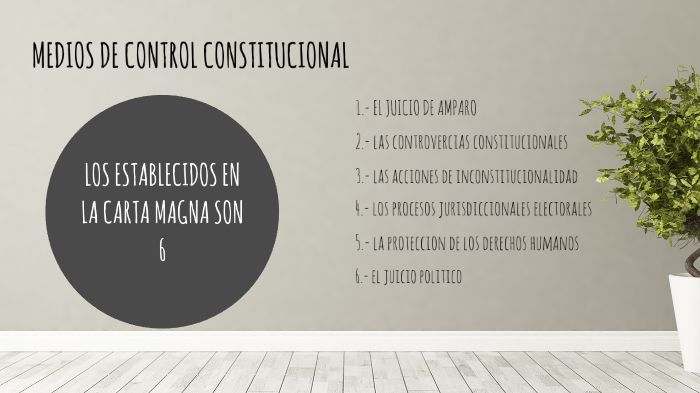 medios de control constitucional by brian mendez on Prezi