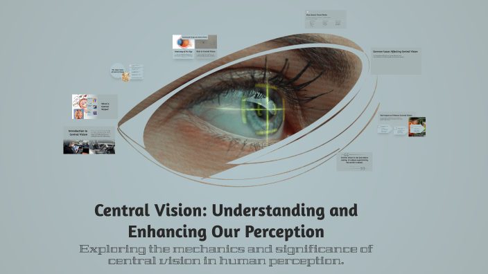 Central Vision: Understanding and Enhancing Our Perception by Time Pass ...