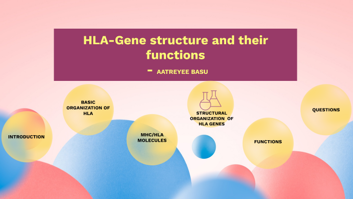 HLA - gene structure and function by Aatreyee Basu on Prezi