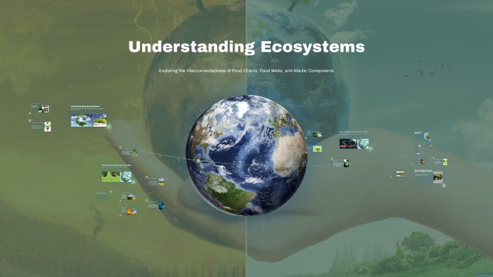 Understanding Ecosystems by karma Tenzin on Prezi