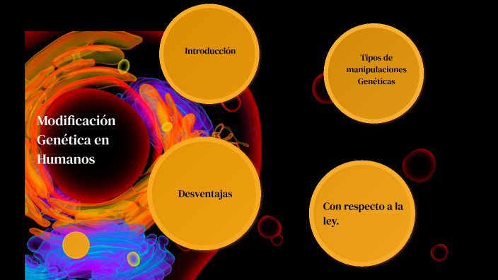Modificación Genética en Humanos by enshine 123 on Prezi