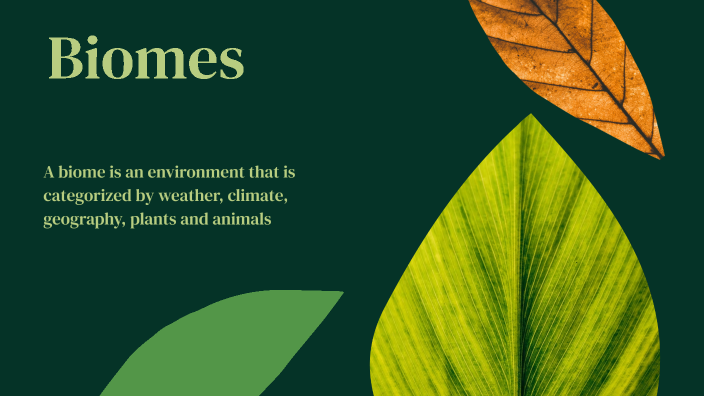 Prezi - 3rd Grade Lesson on Biomes by Sophia Lamarre on Prezi