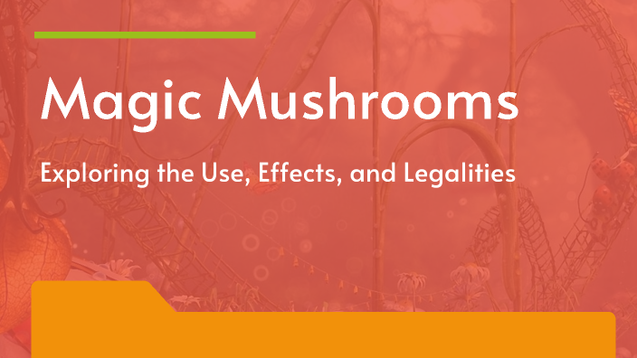 Decoding Magic Mushrooms by Ryan Leclere on Prezi Decoding Magic Mushrooms by Ryan Leclere on Prezi