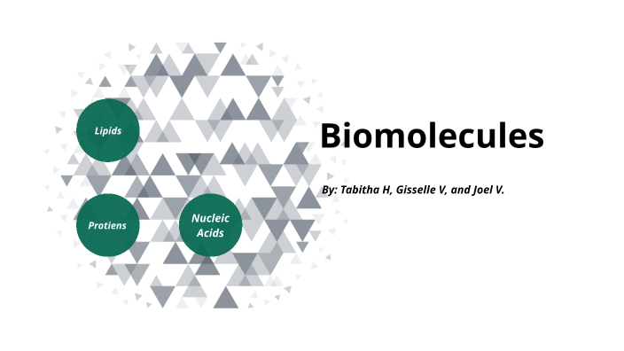 Biomolecules Project by Tabitha Higginbotham on Prezi