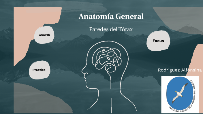 Anatomía by Alfonsina Rodriguez on Prezi