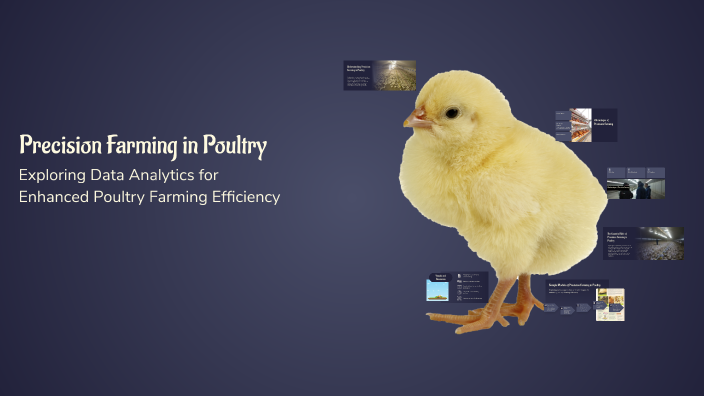 Precision Farming in Poultry by shalemar matuan on Prezi