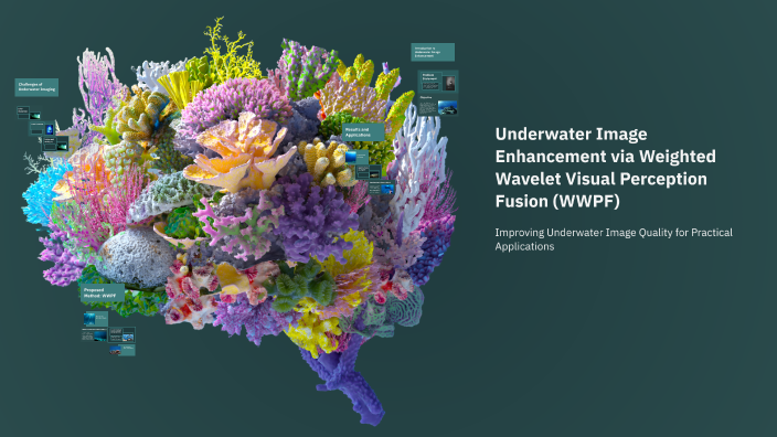 Underwater Image Enhancement via Weighted Wavelet Visual Perception ...