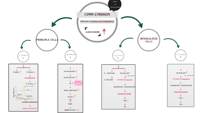 Conn syndrom by wijittra Suklueng