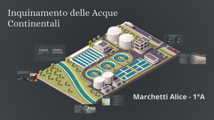 Inquinamento delle Acque Continentali - Marchetti Alice by Alice ...