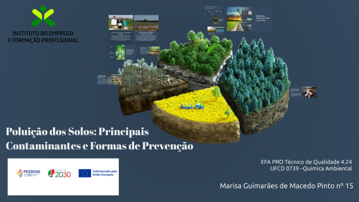 Poluição dos Solos: Principais Contaminantes e Formas de Prevenção by ...