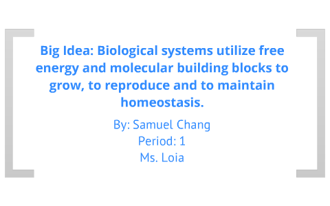 AP Biology Big Ideas Presentation by Sam Chang on Prezi