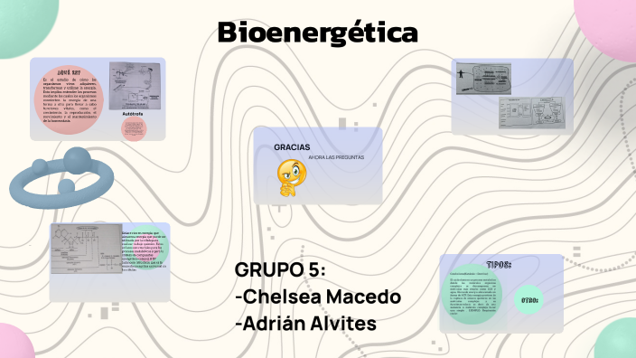Biologia - Bioenergética by Chelsea Macedo Garcia on Prezi