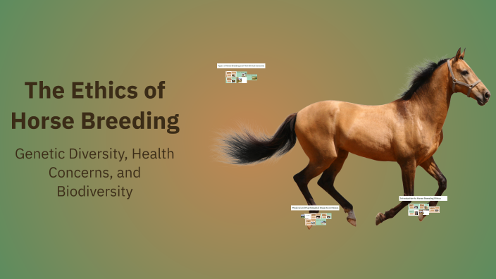 The Ethics of Horse Breeding by Alaina jordan on Prezi