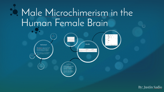 Male Microchimerism in the Human Female Brain by Justin Sadio on Prezi