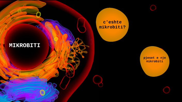Mikrobiti by ana noka on Prezi
