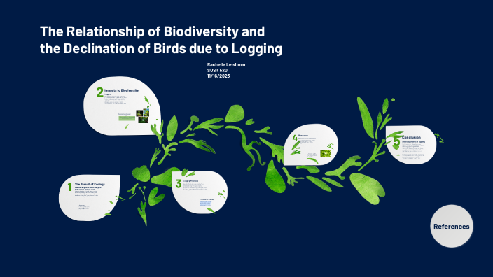 Biodiversity and the Effects of Declination of Bird Species in Upper ...