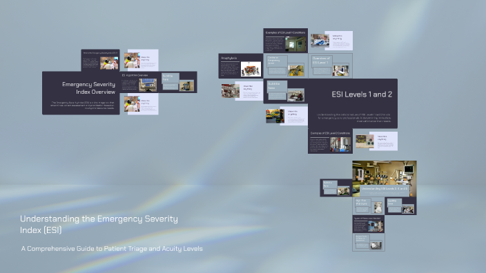 Understanding the Emergency Severity Index (ESI) by Mary Parish on Prezi