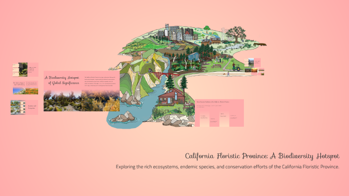 California Floristic Province: A Biodiversity Hotspot by Zuri Cota ...